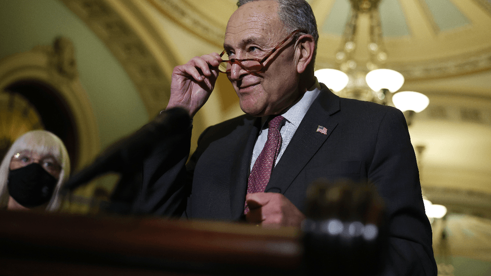 Sen. Chuck Schumer concerned with Elon Musk's DOGE initiative
