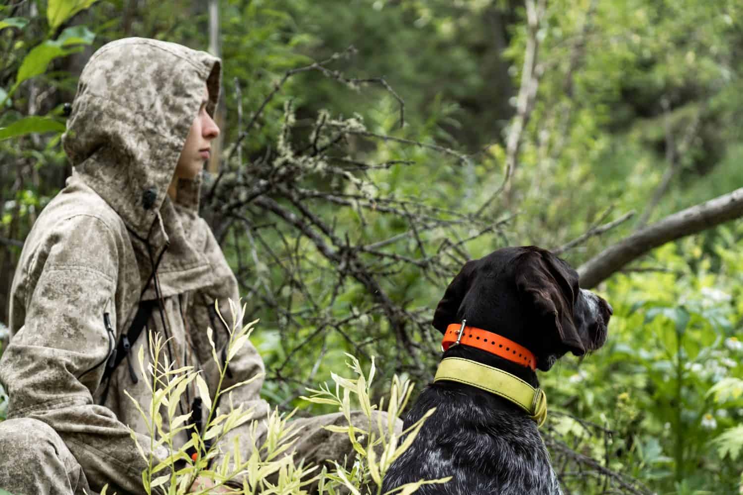 How to Choose the Right Round for Big Game Hunting