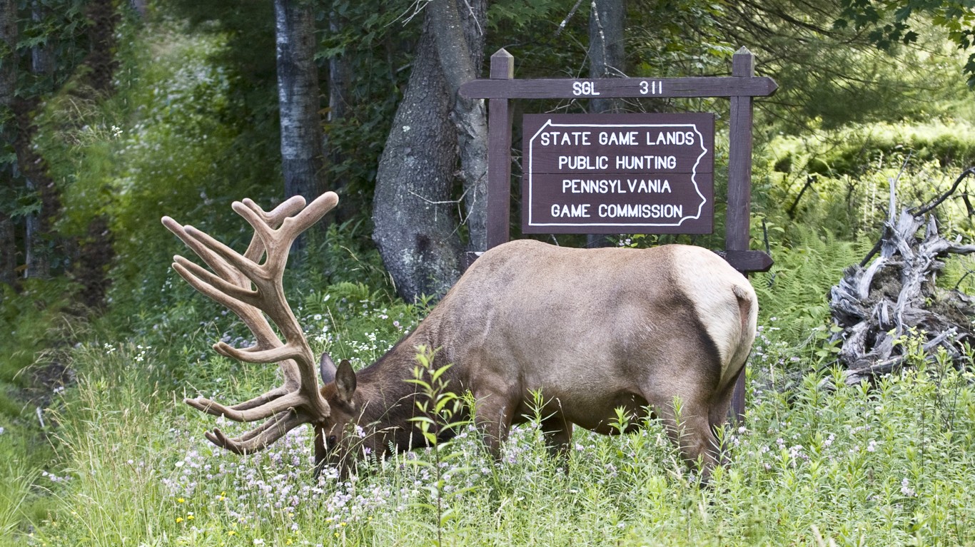 How to Choose the Right Round for Big Game Hunting