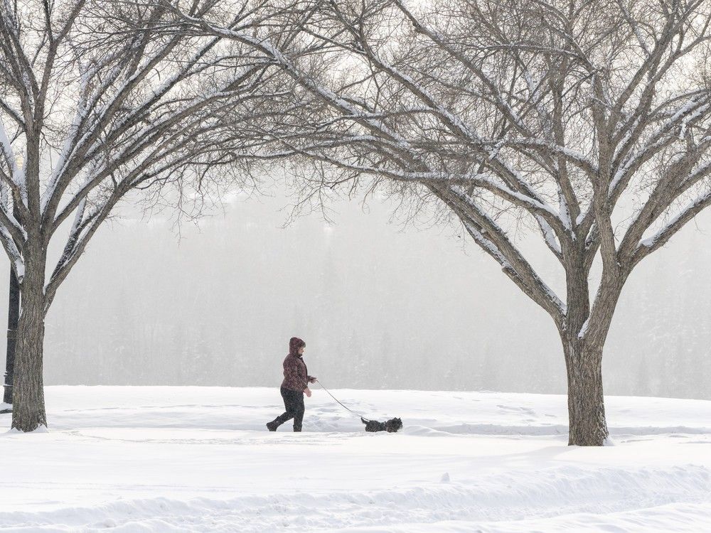 Edmonton weather: Heavy snowfall dropping up to 20 cm with heavy winds