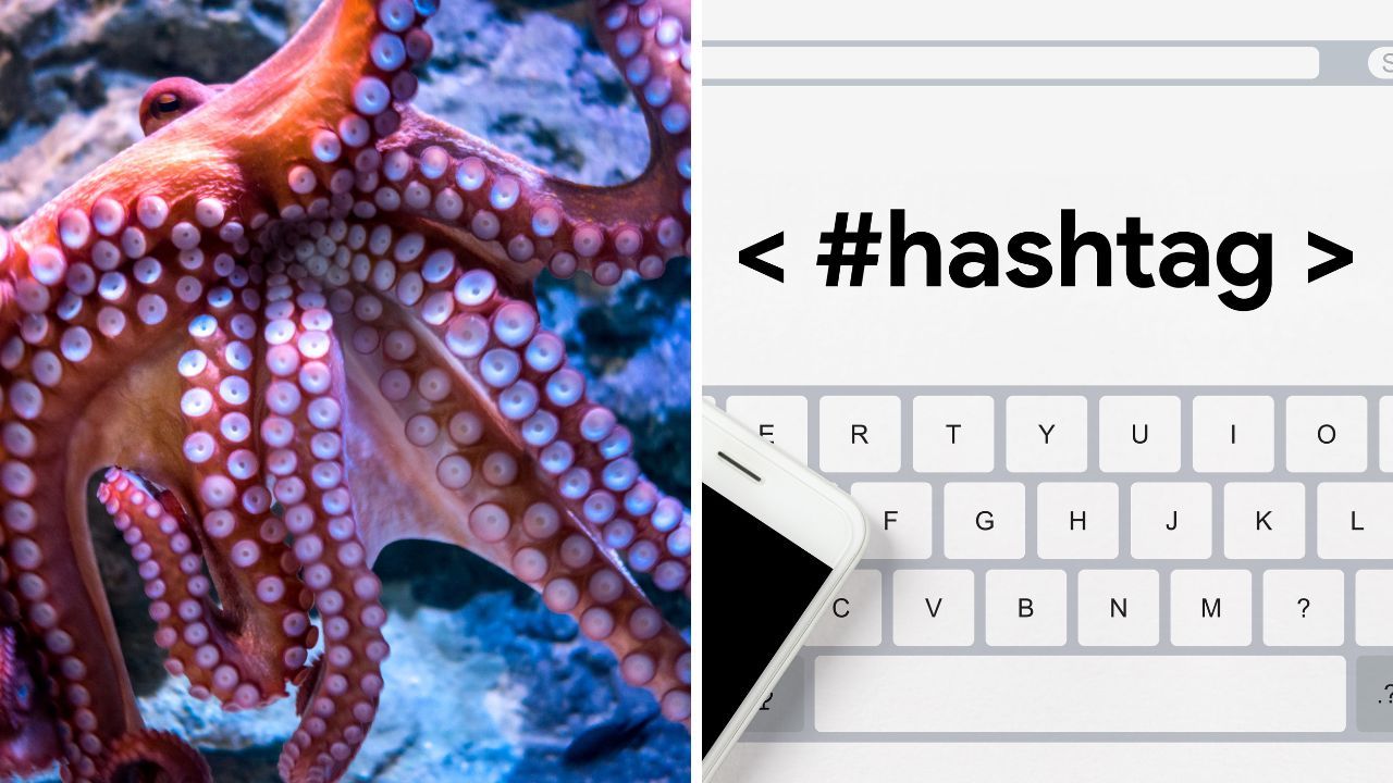 20+ Trivia Tidbits that Will Make You Seem Smarter