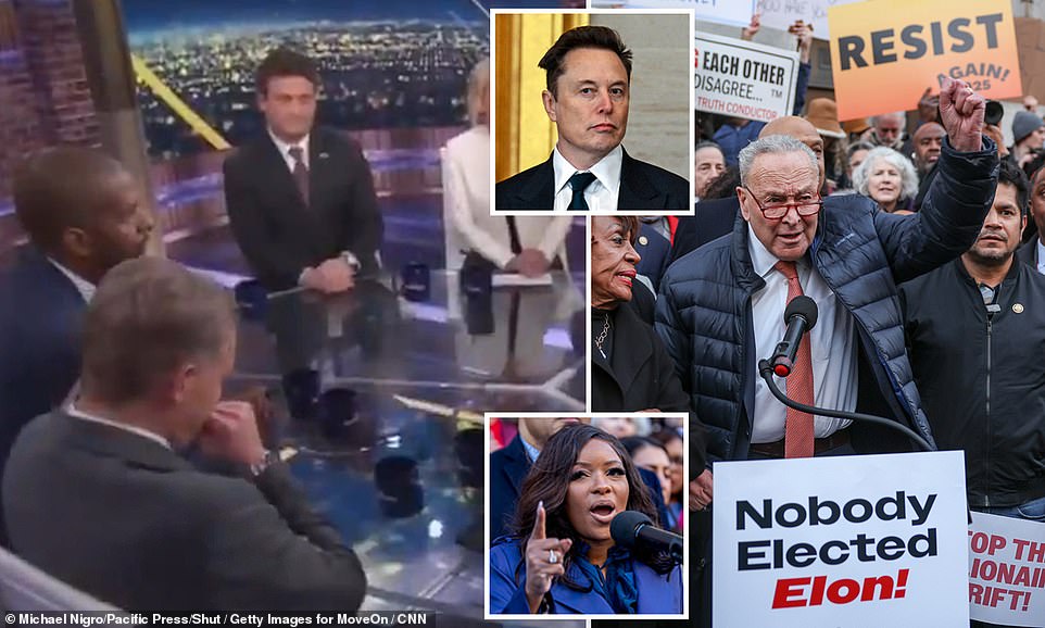 CNN panel mocks group of Democrats over Elon Musk protest