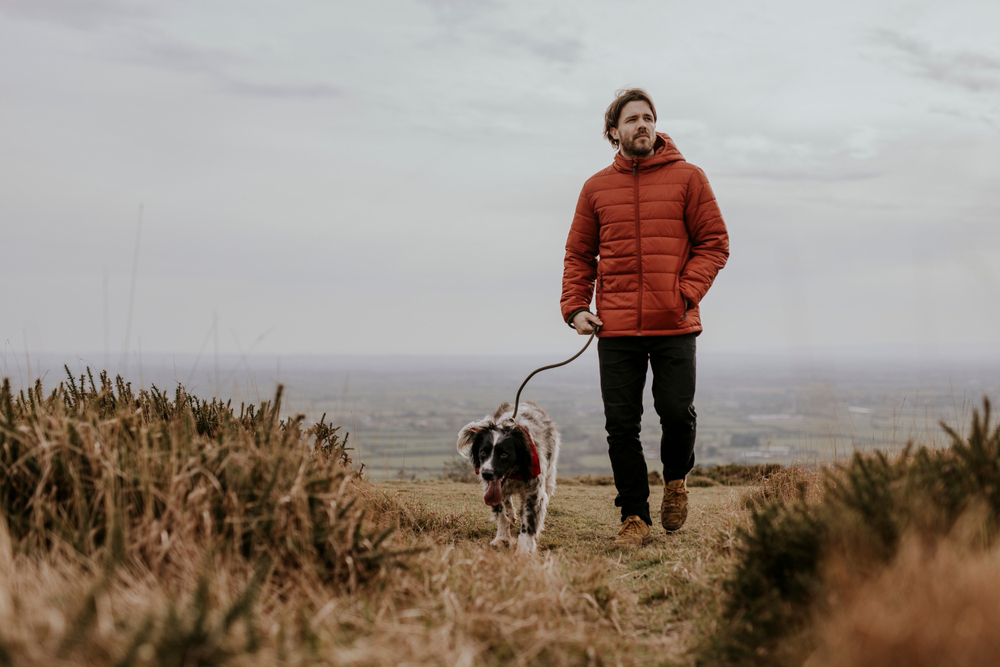 11 fantastic reasons to take a daily walk 11 fantastic reasons to take a daily walk