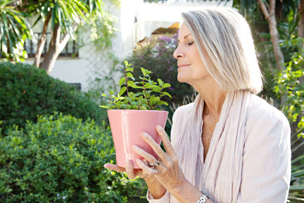 Scientists discover surprising link between menthol and Alzheimer's Scientists discover surprising link between menthol and Alzheimer's