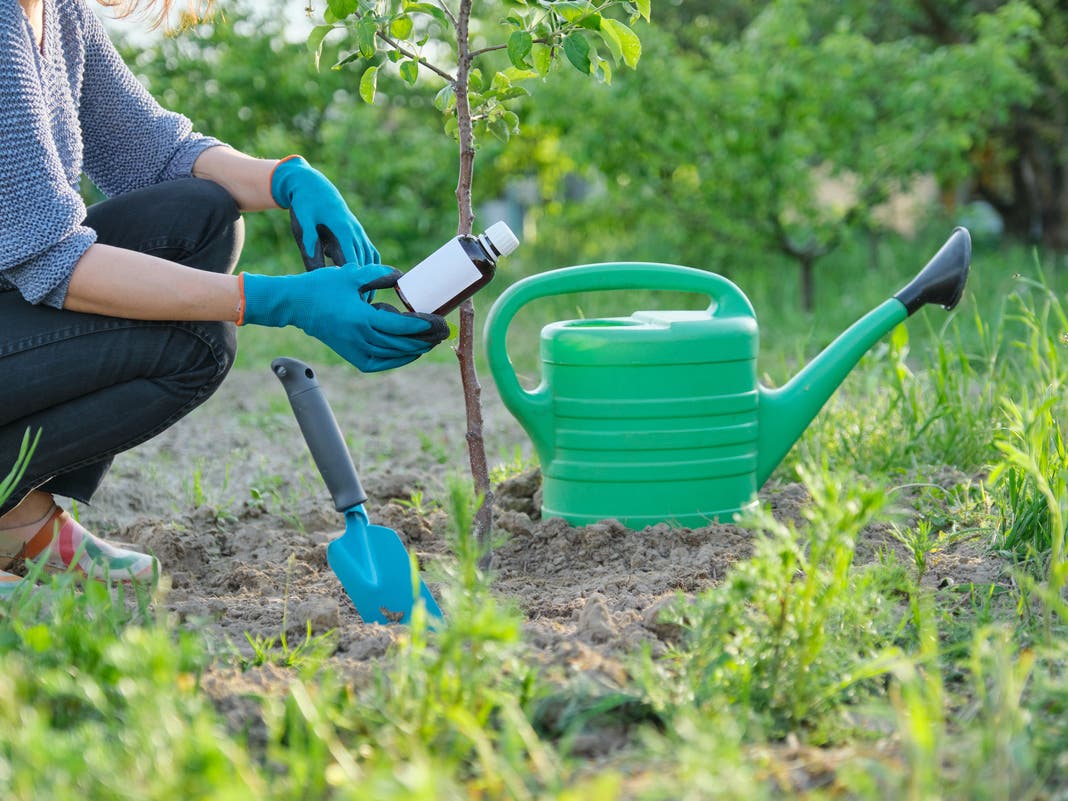 AccuWeather 2025 Spring Forecast: See Pittsburgh Predictions Here