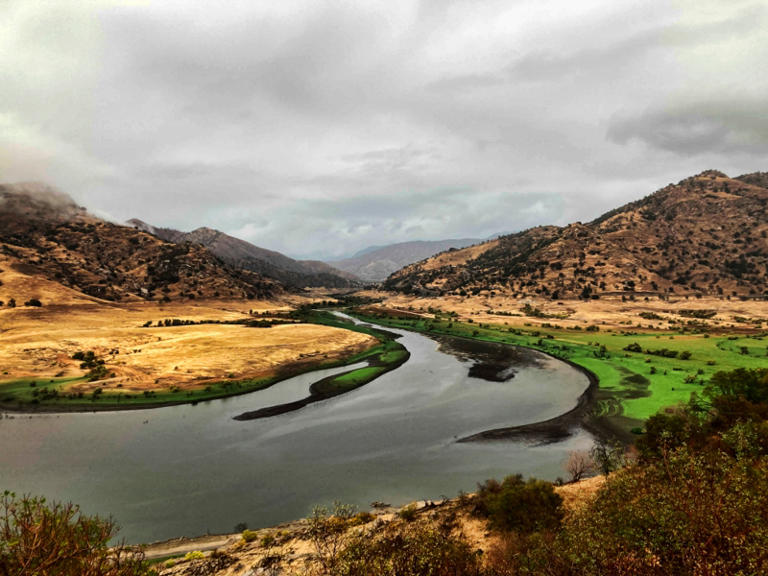 Trump-tabbe kan gi USA-bønder trøbbel