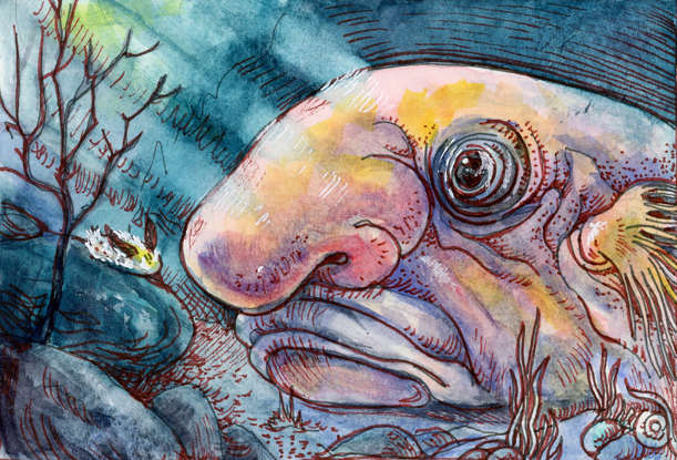 Meet the Blobfish: Why This Ugly Fish Is Actually Fascinating Meet the Blobfish: Why This Ugly Fish Is Actually Fascinating
