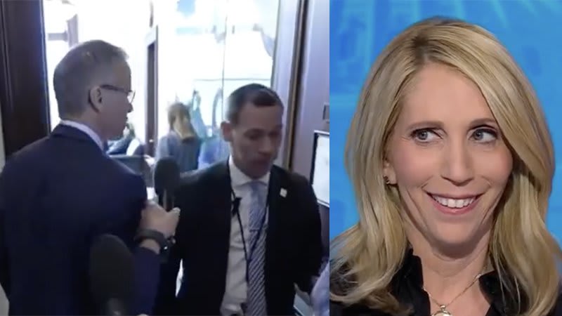 'Homina, homina': CNN's Bash nails Republicans for fleeing Trump questions