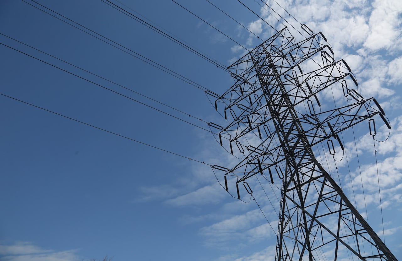 Squirrel to blame for power outage in part of downtown Toronto, Hydro ...