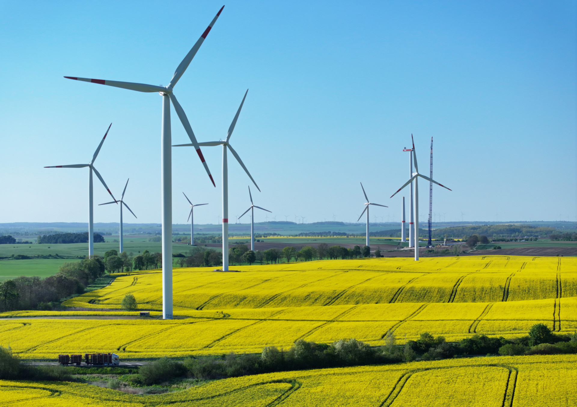 Can wind farms really harm wildlife?