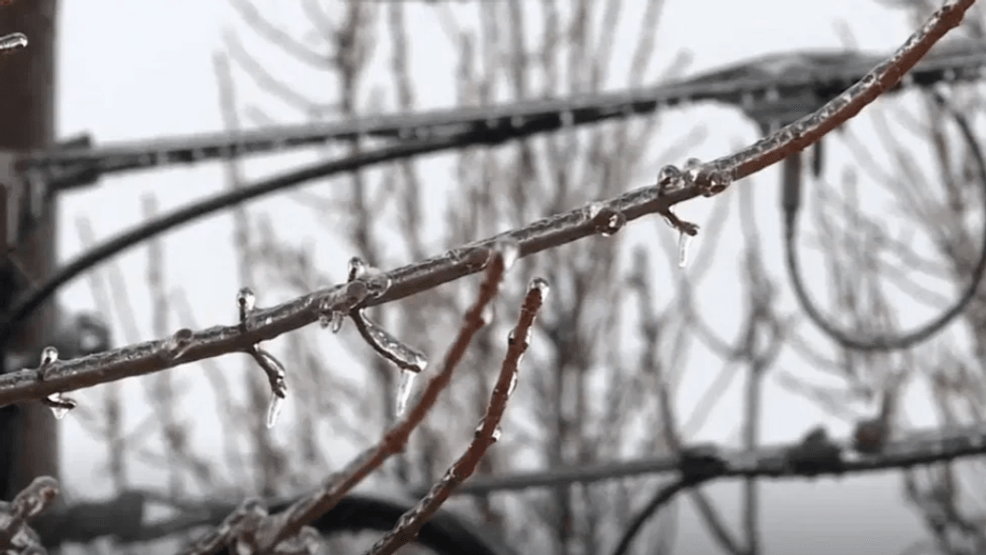 Schools and public buildings announce delays and closures today