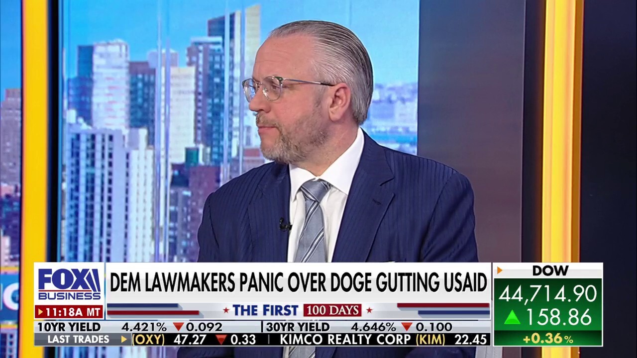 Democrat lawmakers panic over DOGE gutting USAID