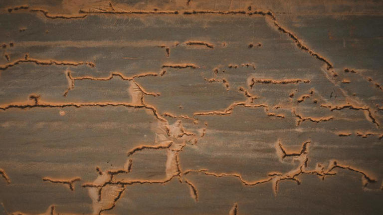 Scientists Are Worried After Google Earth Captured a 2-Mile-Long Crack ...