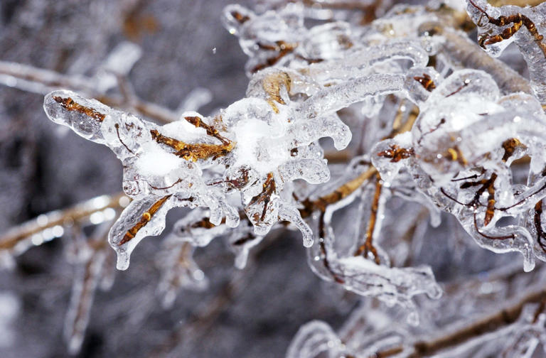 Michigan expects an ice storm. What you should do to prepare