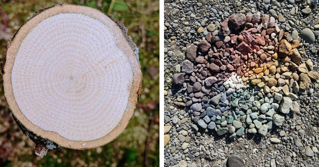 55 Oddly Interesting Things that are Fun To Look At