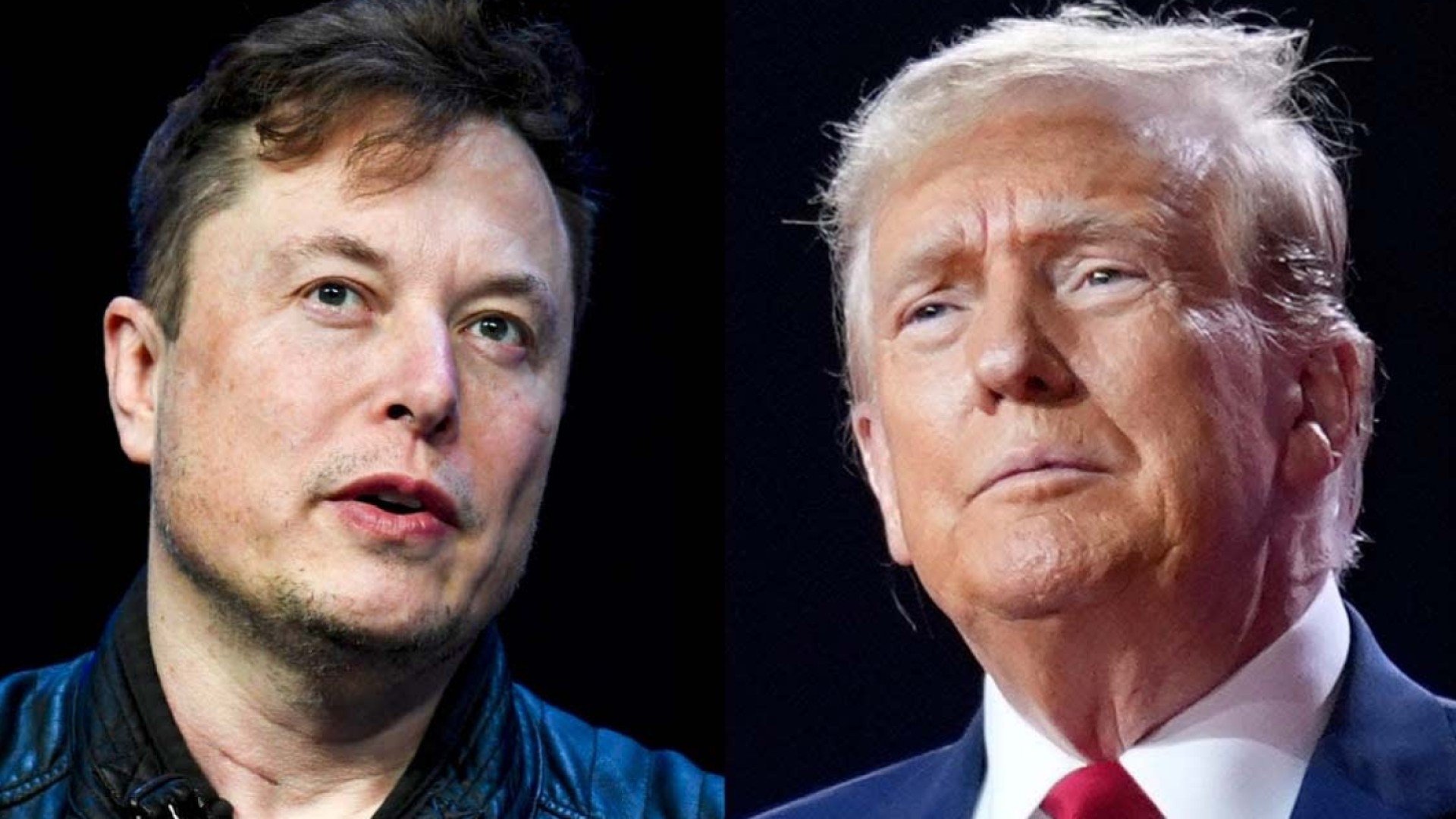 'Complete and utter incompetence': Musk and Trump doing 'enormous ...