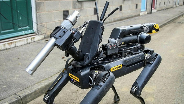 Robot dogs being used to defuse bombs