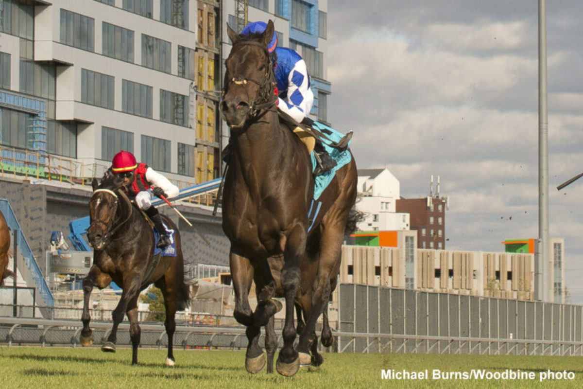 'He Should Never Have Been Racing On That Track': Owner Claims Back G2 ...