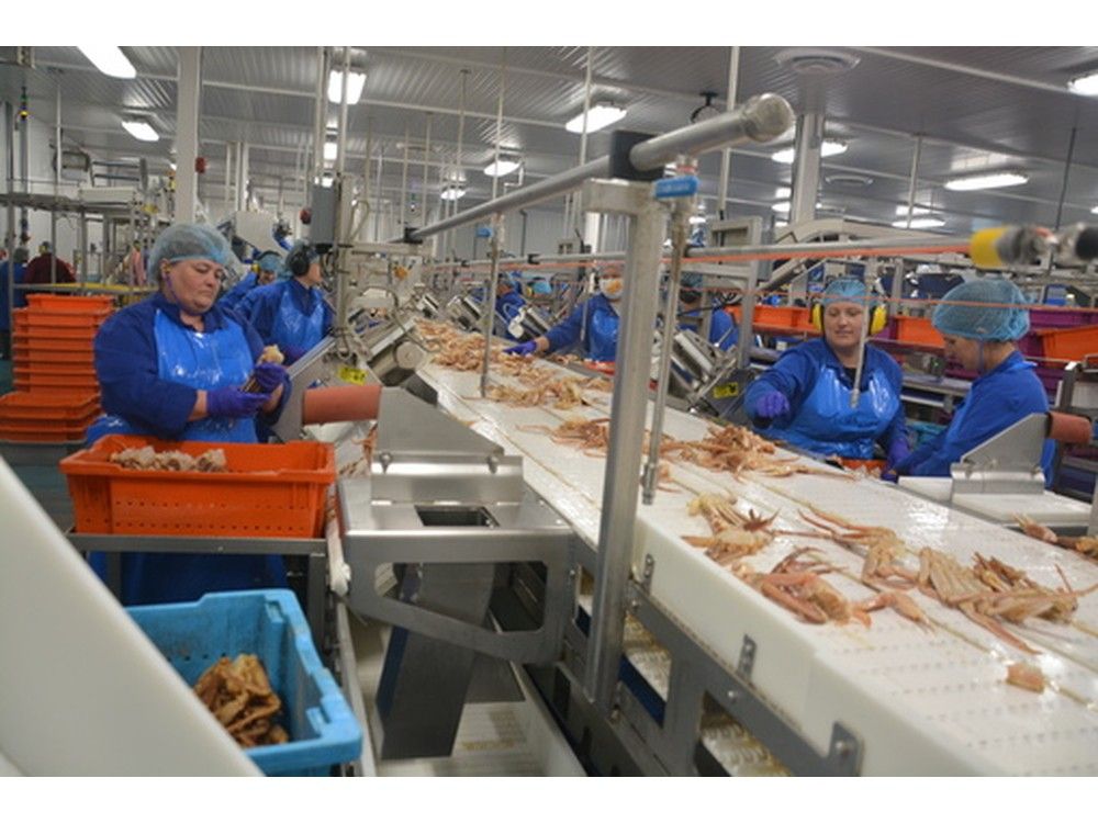 UPDATED: Selling more NL fish within Canada not likely strategy as ...