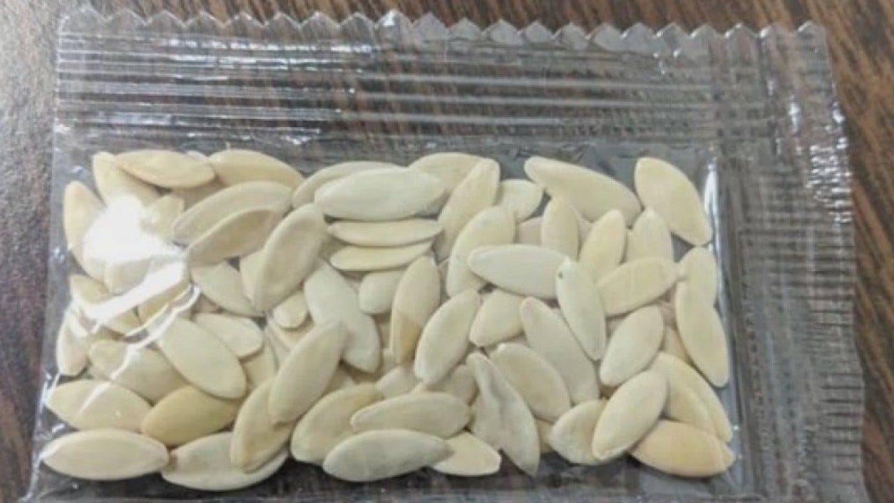 Mystery seed packets from China are back, Texas Ag Commissioner warns