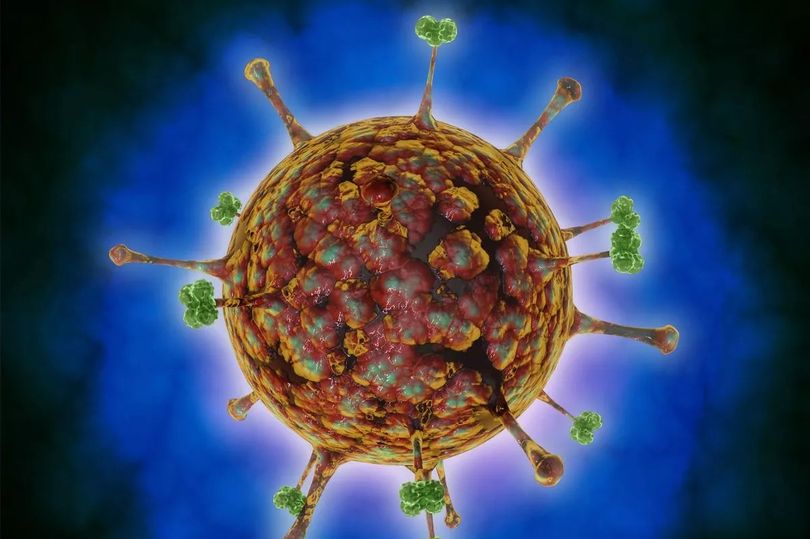 Experts who predicted Covid issue fresh warning over new virus