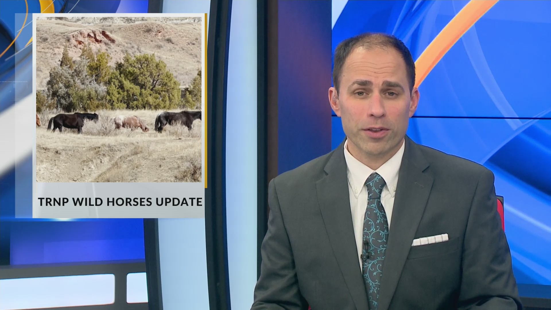 TRNP Wild Horses Update