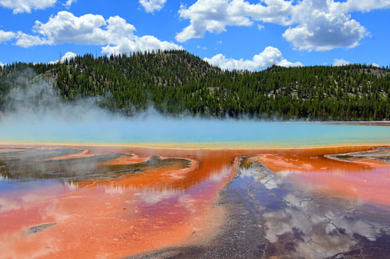 Microbes Found In Yellowstone's Hot Springs Are Showing Us How ...