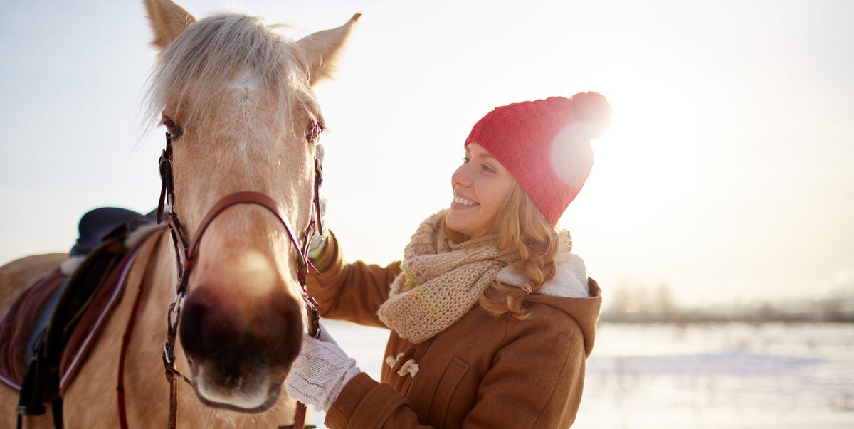 Do Horses Get Cold? Here's How to Keep Your Horse Safe This Winter