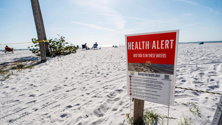 Where is red tide in Florida today? A map, what to know about water quality