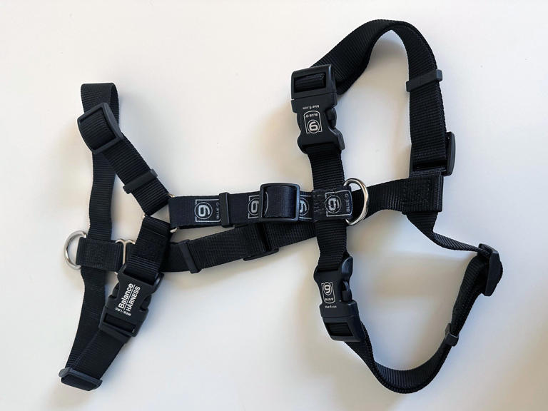 The 5 best no-pull dog harnesses of 2025, tested and reviewed