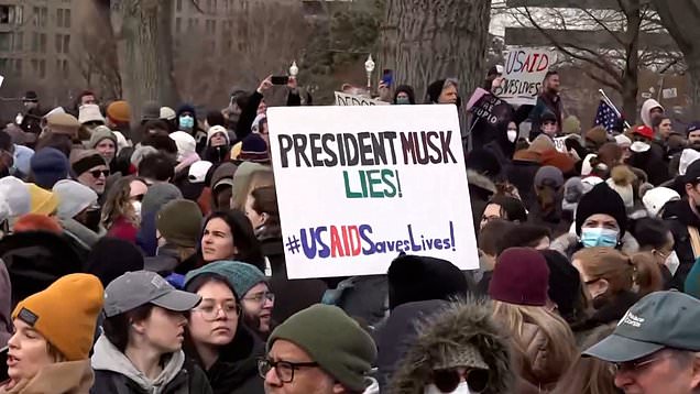 Anti-Donald Trump and Elon Musk protests pop up across the country