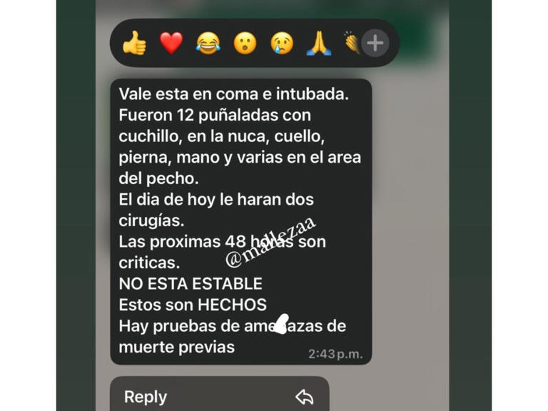 Impactantes detalles sobre la salud de Valentine, víctima del brutal ...