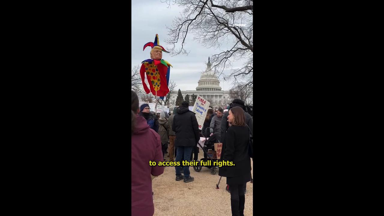 Protesters rally at Capitol against DOGE