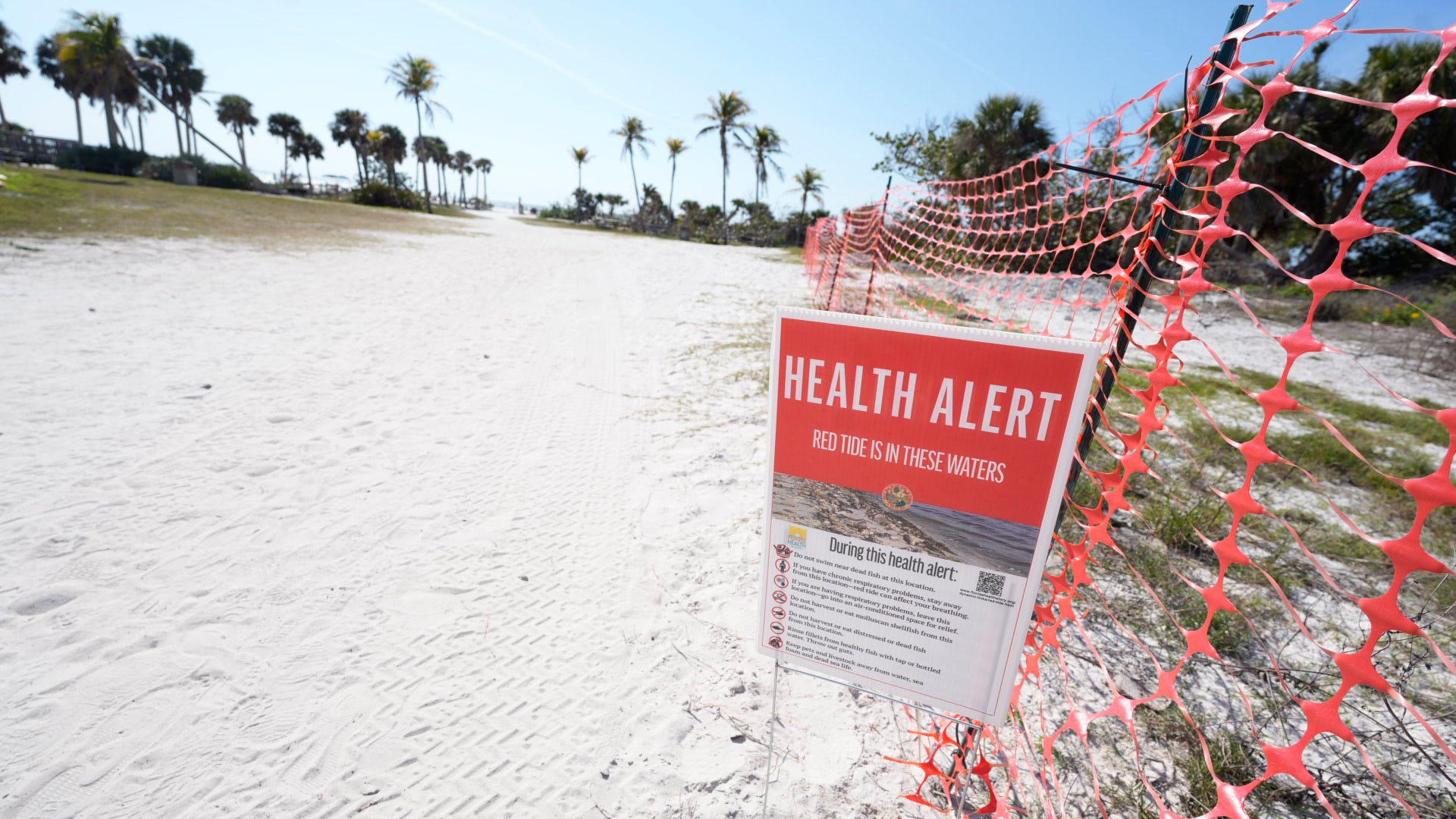 Is red tide in Florida or Palm Beach County? What to know on algae ...