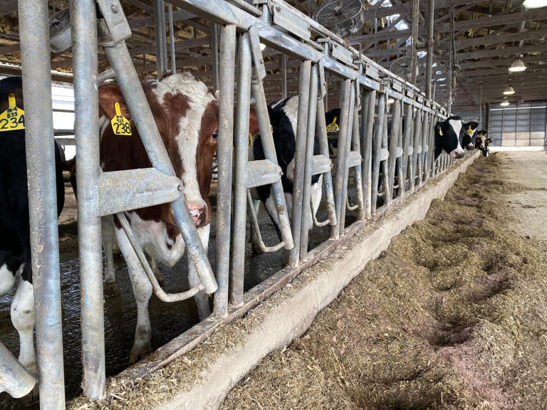 Rockford farmer searches for certainty as potential trade war looms