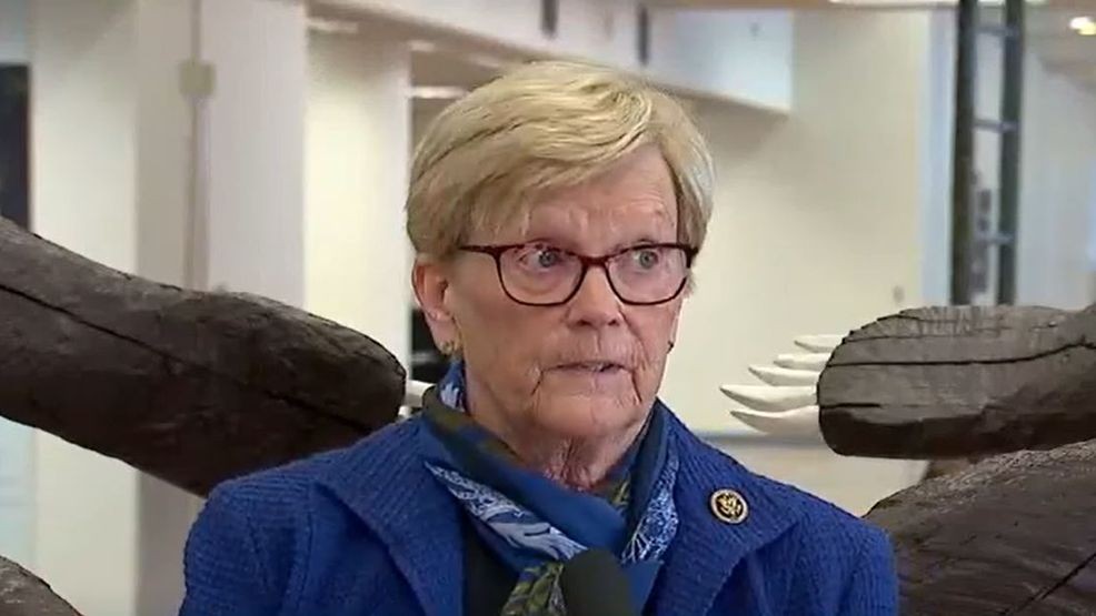 Rep. Pingree concerned about lack of air traffic controllers in U.S.