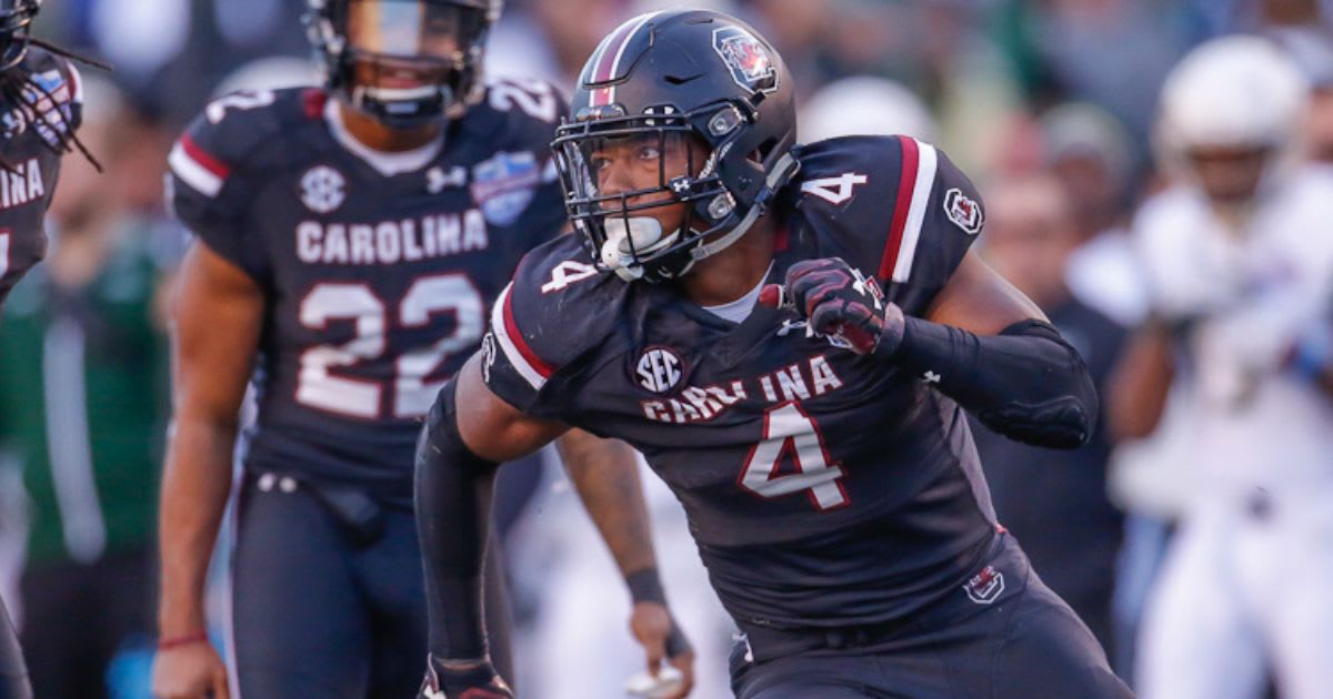 Former South Carolina captain earns SEC coaching job with Georgia Bulldogs
