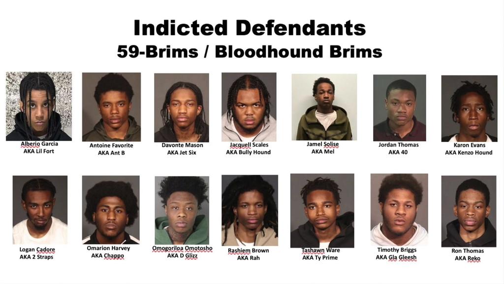 14 alleged members of 59 Brims and Bloodhound Brims gangs arrested ...