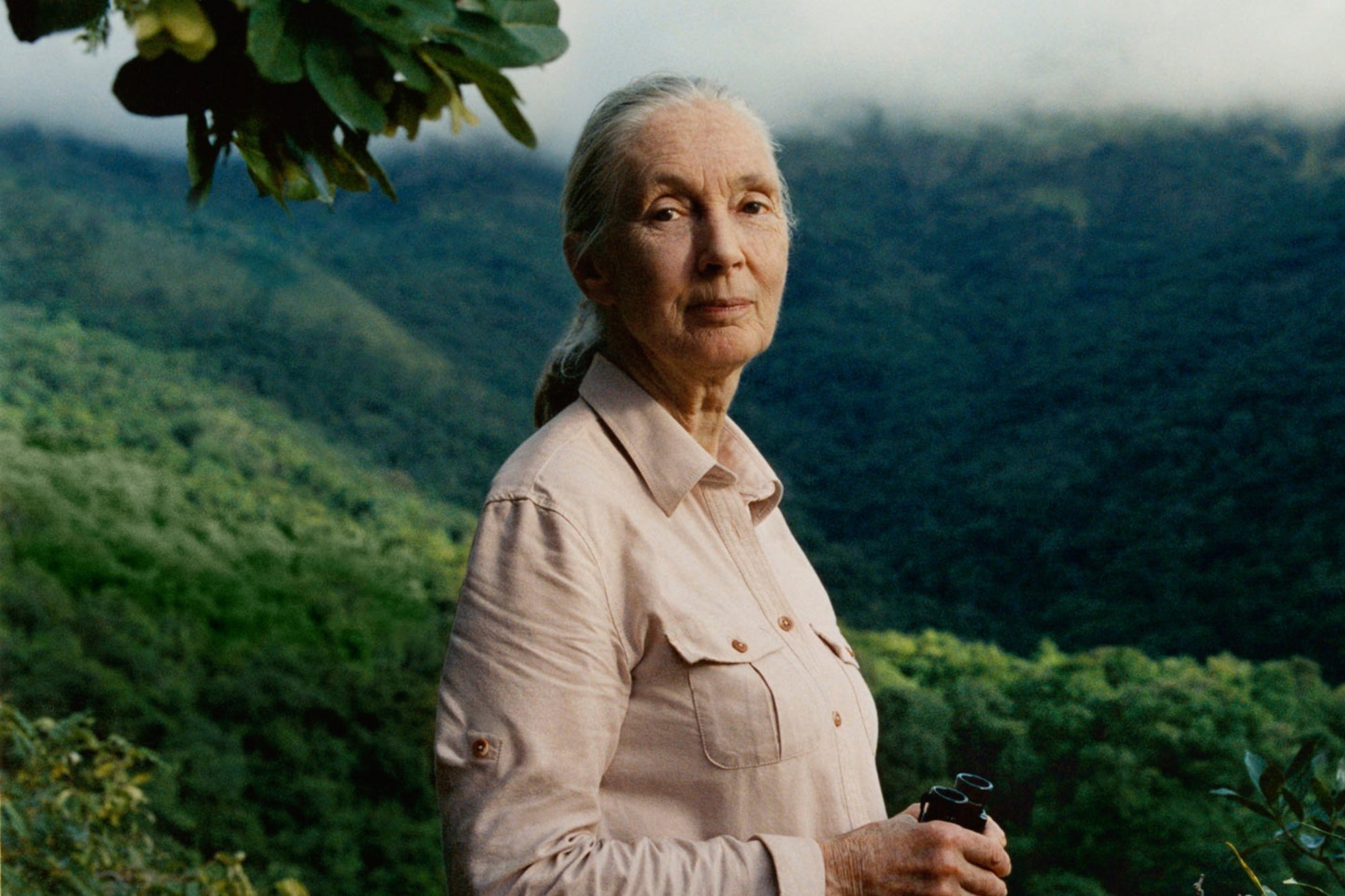 "It's Become Power and Money, Power and Money!" At Nearly 91, Dr. Jane ...