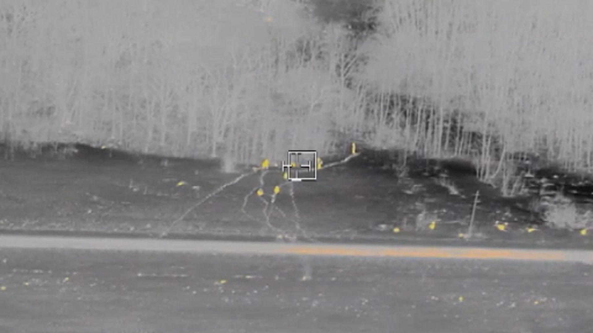 RCMP release new video of migrant interception at Canada-U.S. border