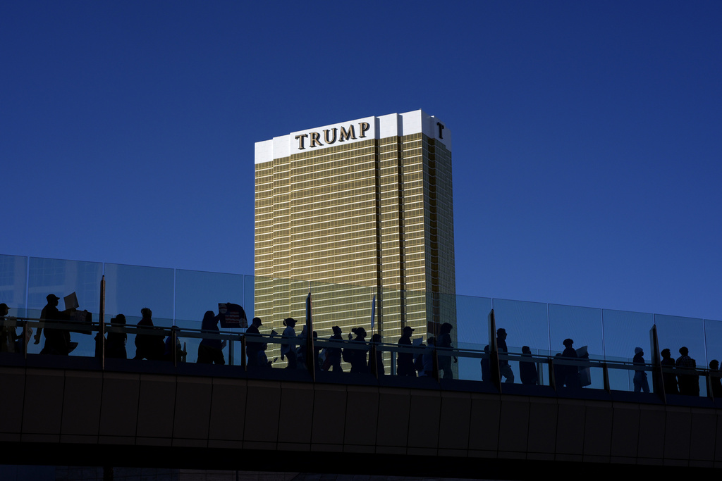 Protesters in cities across the US rally against Trump's policies ...