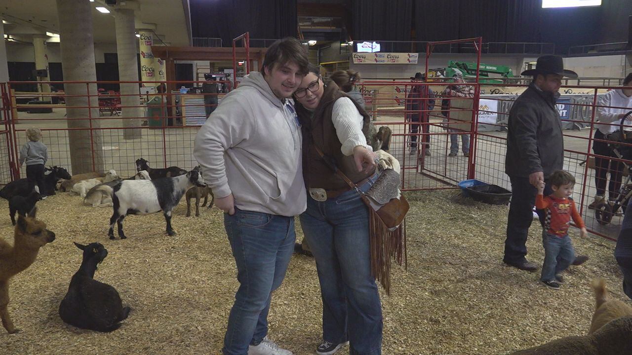 Adorable frenzy at Stock Show Rodeo petting zoo