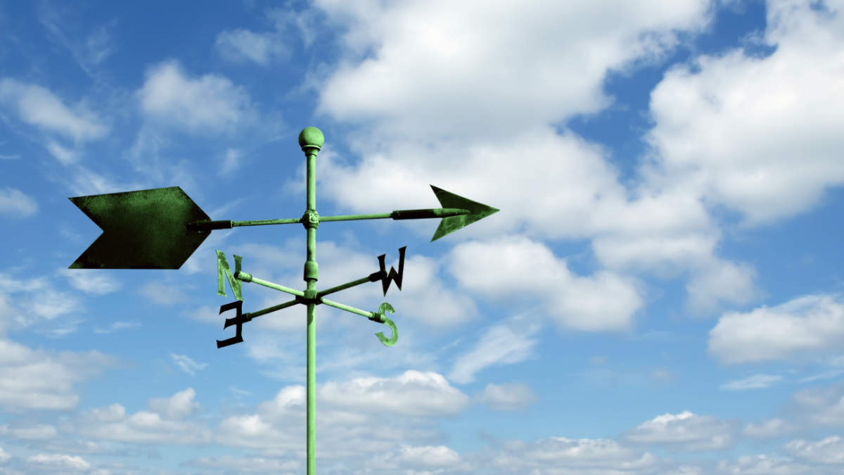 AdAlta prioritises ‘East to West’ cellular immunotherapy strategy to ...