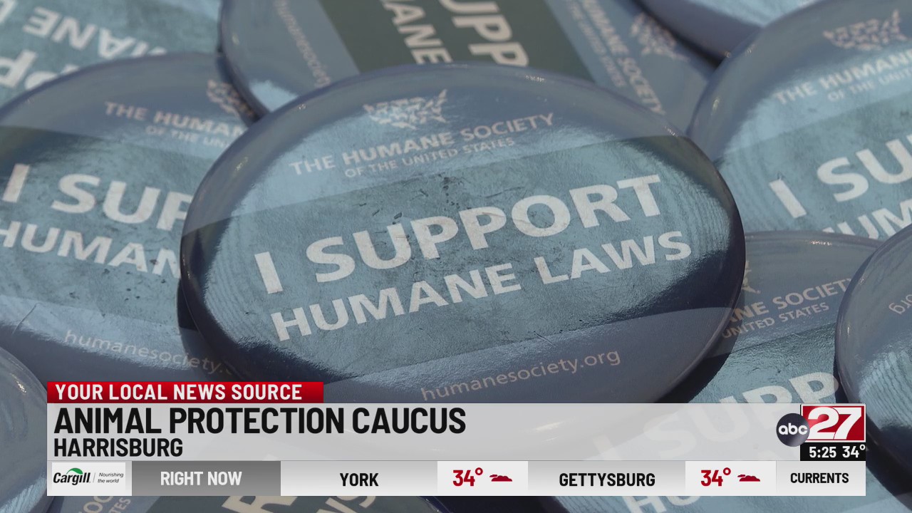 Animal Protection Caucus announces new goals to increase animal welfare ...