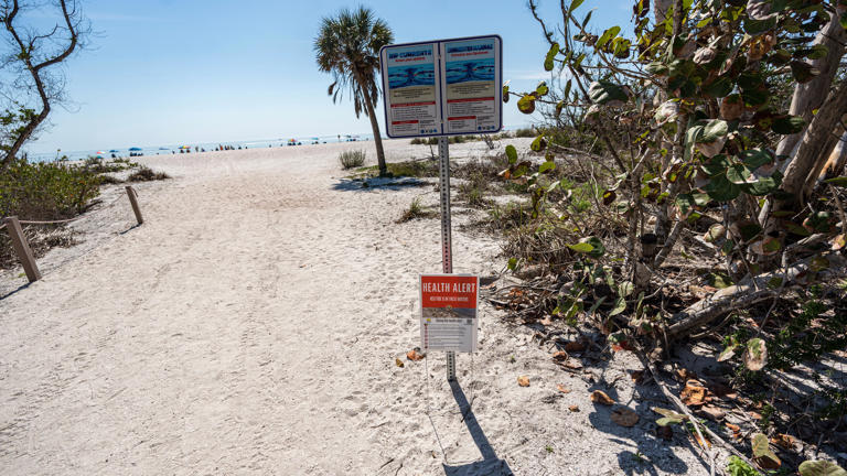 Red tide alert issued by health department for Tarpon Bay Road beach on ...