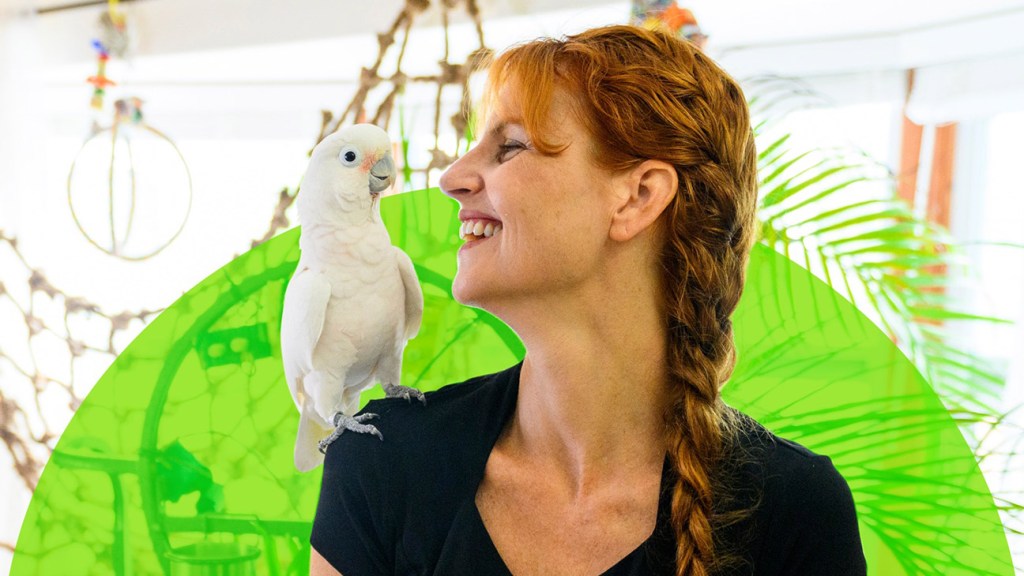 ‘Parrot Kindergarten' Director on Telling Story of Healing and ...