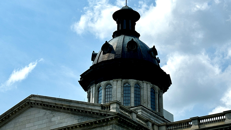 Bill could bar DEI practices in South Carolina schools, colleges