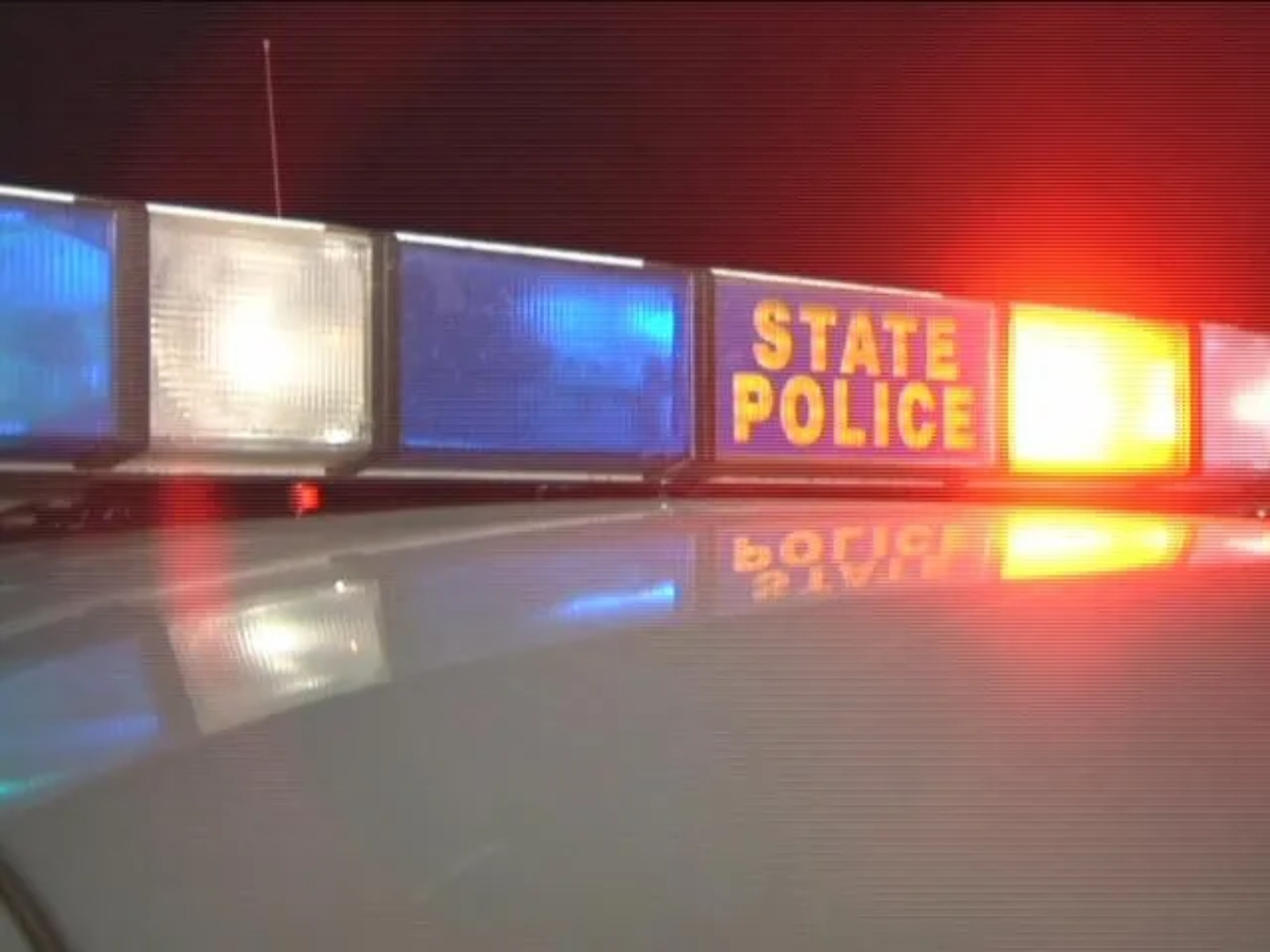 State police arrest woman accused of starving dog to death