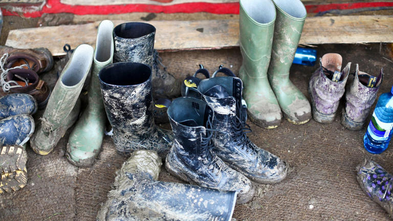 How to clean wellies - a step by step guide to making muddy rubber ...