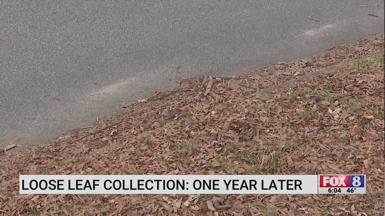 Greensboro residents react to loose leaf collection changes 1 year later